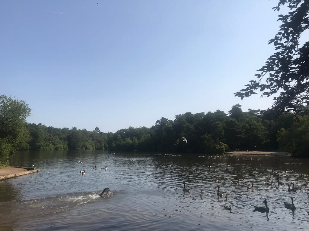 Hawley Lake A Cycling and Mountain Biking Guide - Eats Plants Lives Dreams